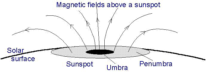 SWS - The Sun and Solar Activity - The Magnetic Fields around Sunspots